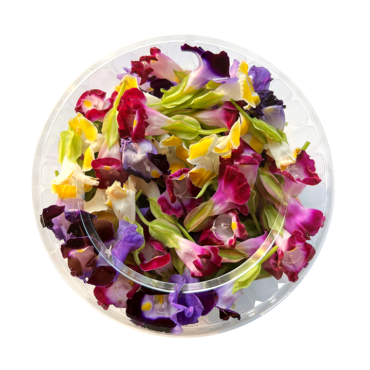 Wishbone Flower (Edible Flowers) – Pedro Farms